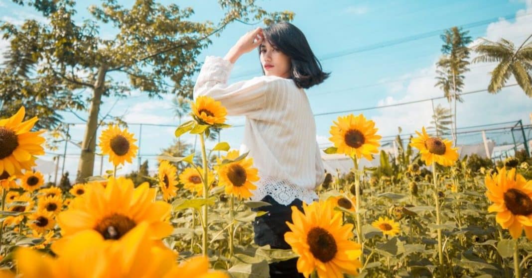 Signos - Previsões para Domingo, 22 de Setembro